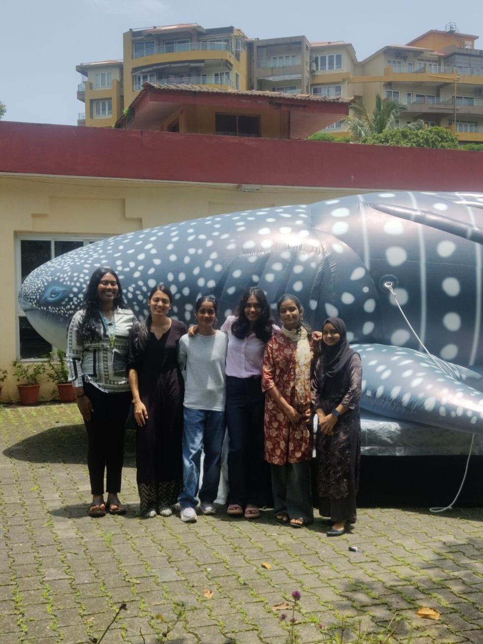 International Whale Shark day | Carmel college of Arts & Science